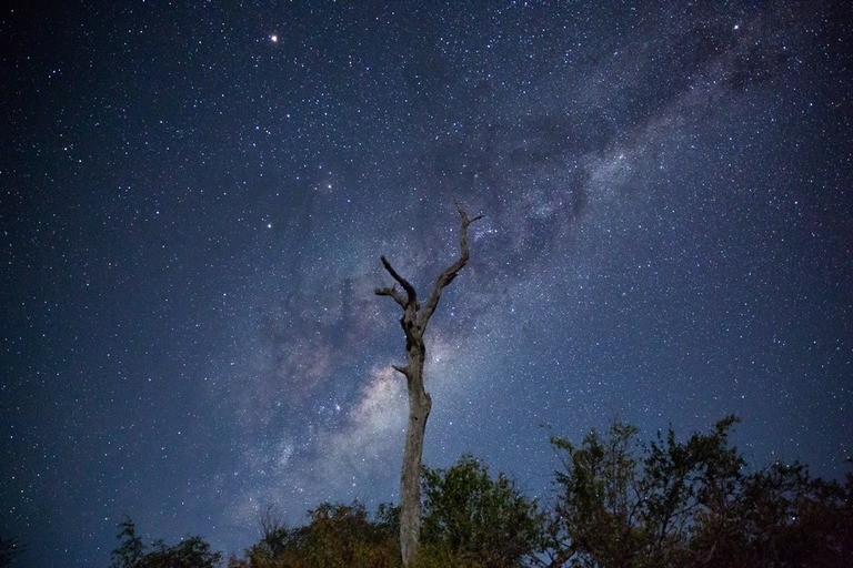 Best Places to Sleep Under the Stars